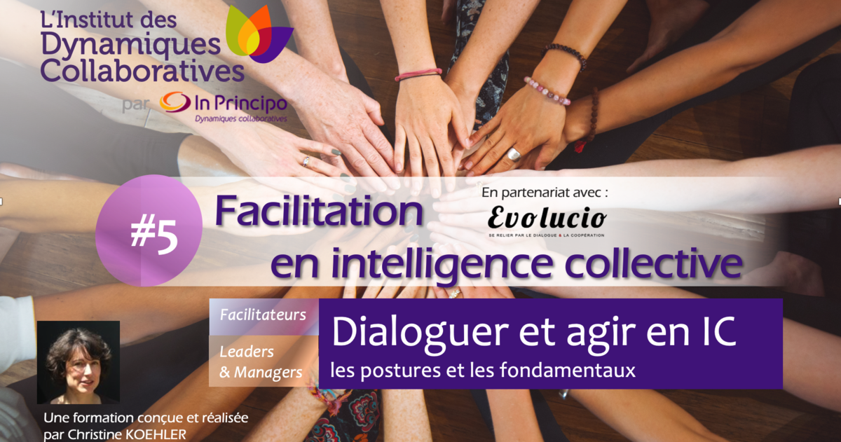 In Principo | Evolucio, Christine Koehler, partenaire de l’Institut des Dynamiques ...